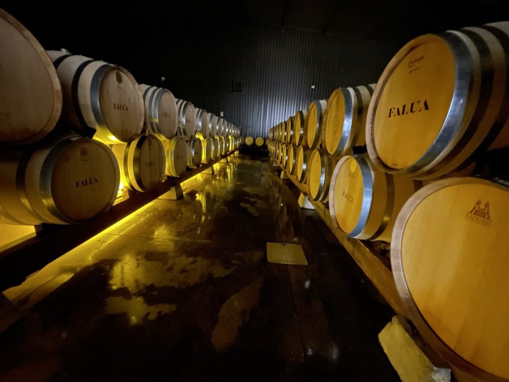 Falua Wines – Vamos de Viagem